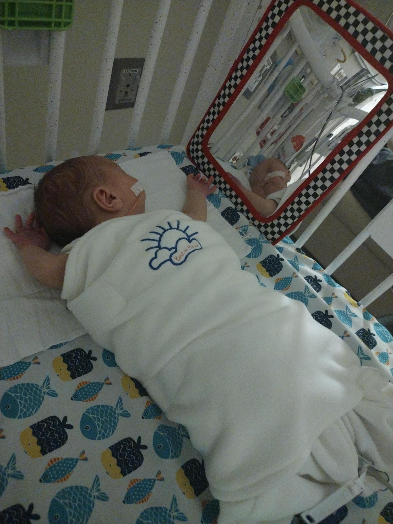 The Harmer Family | Help Me Bounce