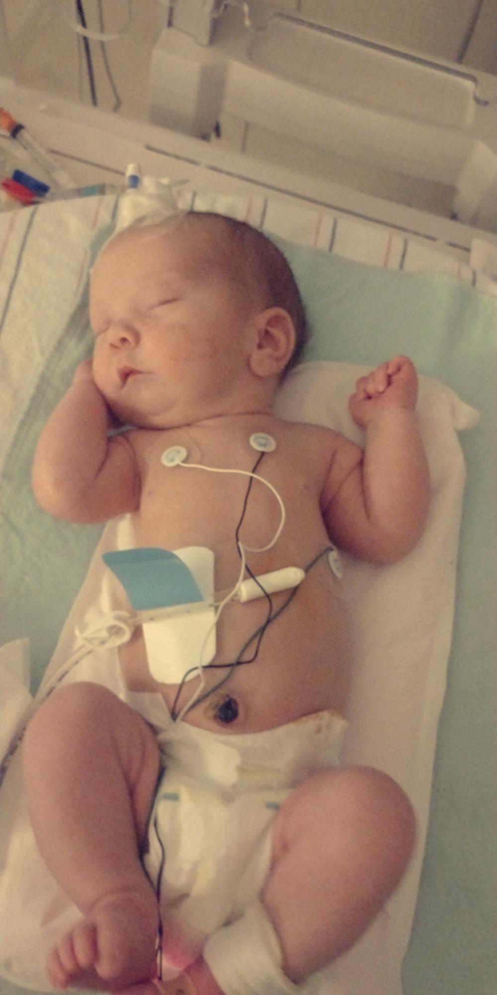 The Harmer Family | Help Me Bounce